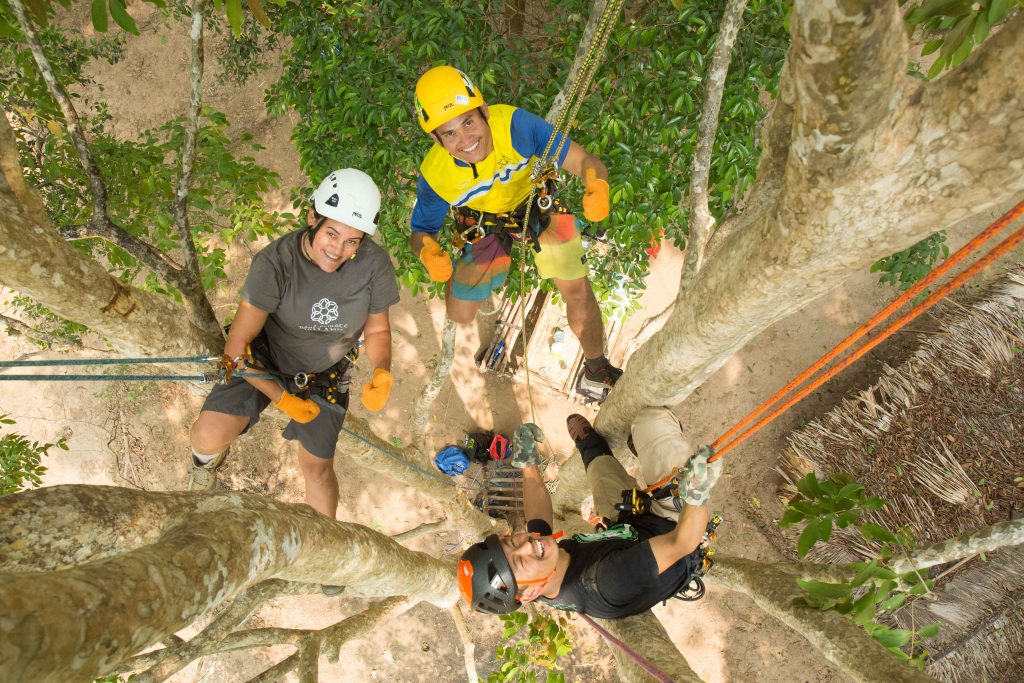 Exploring the canopy: Tree climbing training to better study what’s up ...