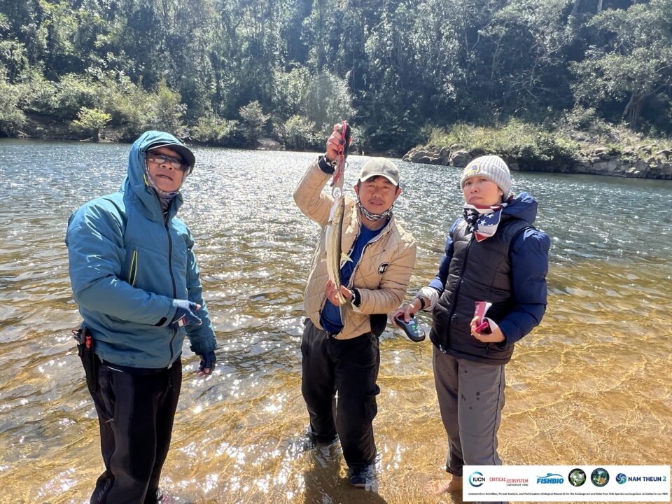 Updates from our collaborative project to study the population of the ...