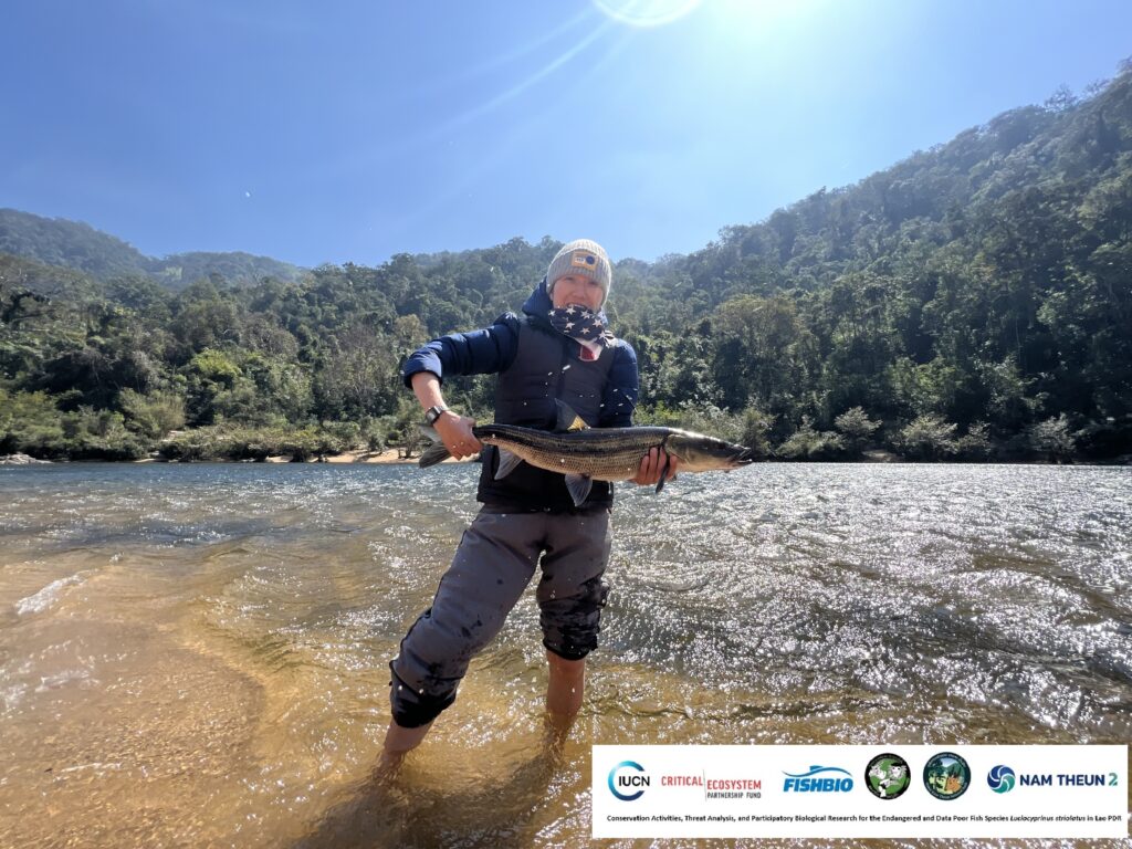 Updates from our collaborative project to study the population of the ...