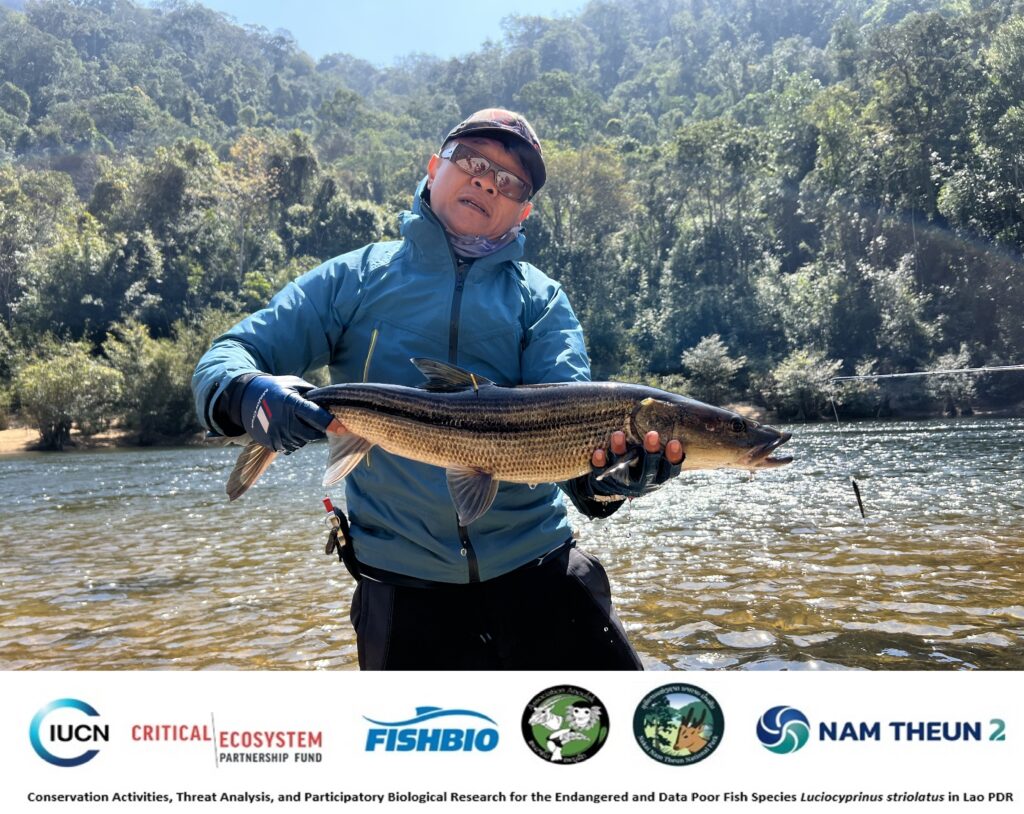 Updates from our collaborative project to study the population of the ...