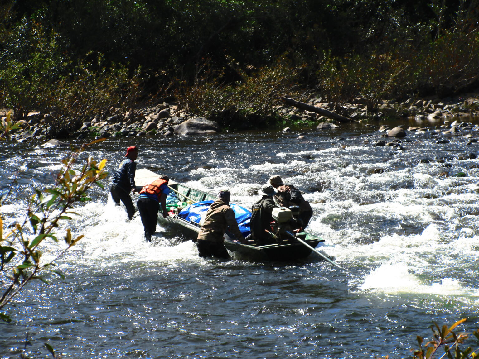 Pilot project completion: Research and Conservation of the Endangered ...