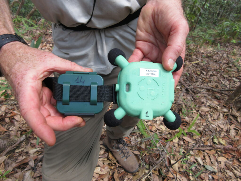 Gibbon surveying in the digital age: field testing of first automated ...