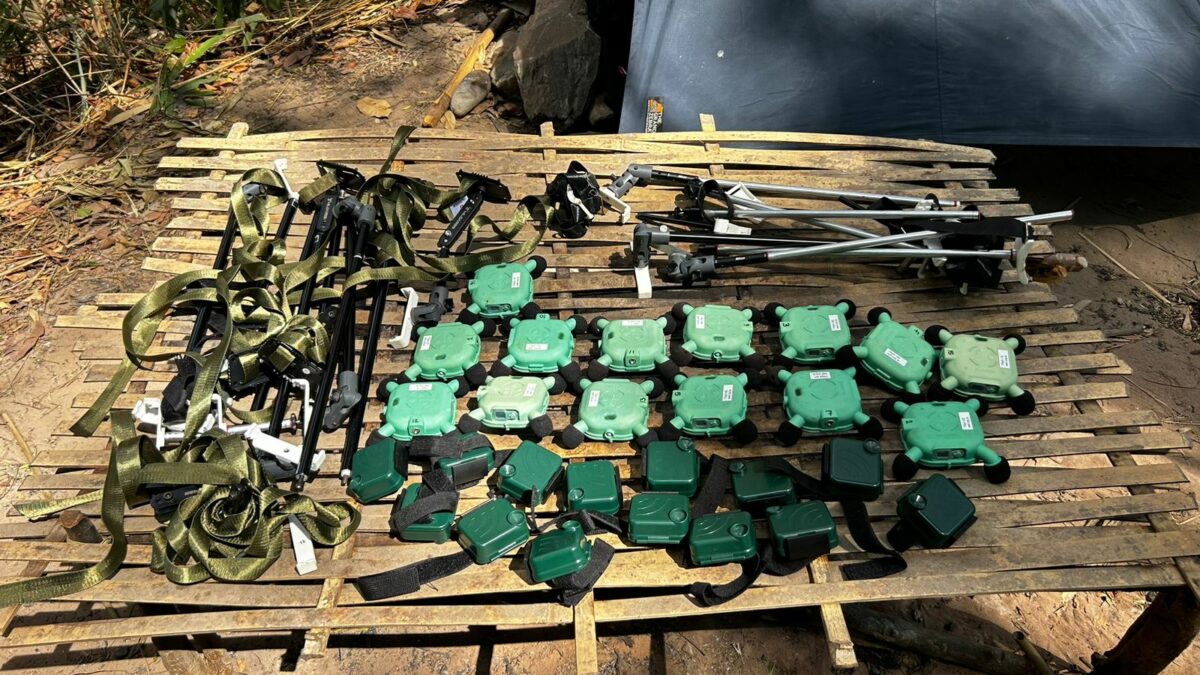 Gibbon surveying in the digital age: field testing of first automated ...